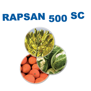 Rapsan 500 SC | Comercial técnica Agrosur y Agroespuña