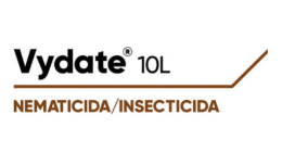 Sandía | Comercial técnica Agrosur y Agroespuña